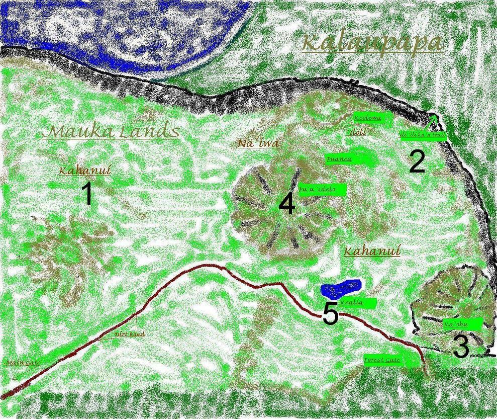 Stories and Information